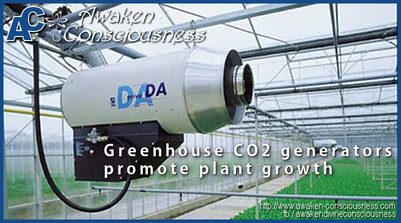 If CO2 is So Bad for the Planet, Why Do Greenhouse Growers Buy CO2 ...